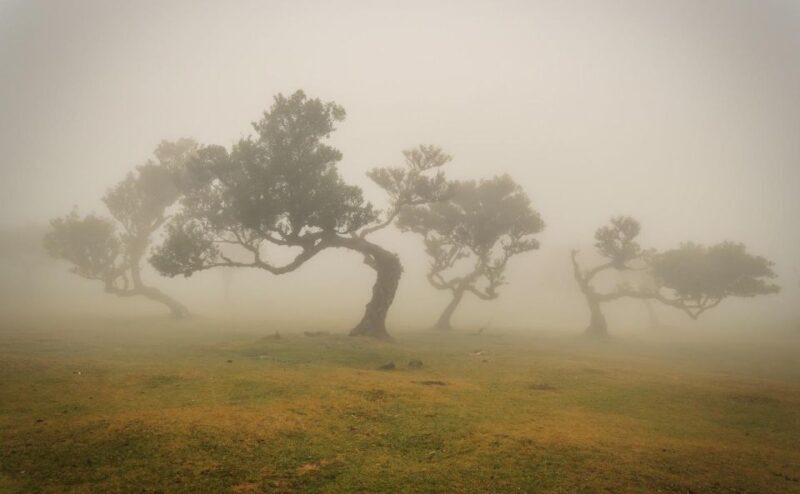 Funchal: Island explorer Madeira by 4X4 North West - Final Thoughts
