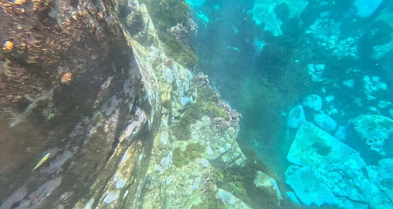 Funchal: Kayak and Snorkel Tour to Garajau NR - Introduction to the Kayak and Snorkel Experience