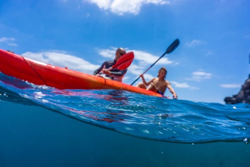 Funchal: KAYAK Rental or Guided tour with snorkeling - Who Will Love This Tour?