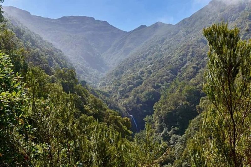 Funchal: Levada Caldeirão Verde Waterfalls and Forests Hike - Introduction: Why This Tour Appeals to Travelers