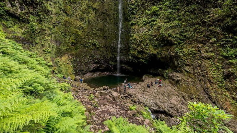 Funchal: Levada Caldeirão Verde Waterfalls and Forests Hike - The Scenic Highlights