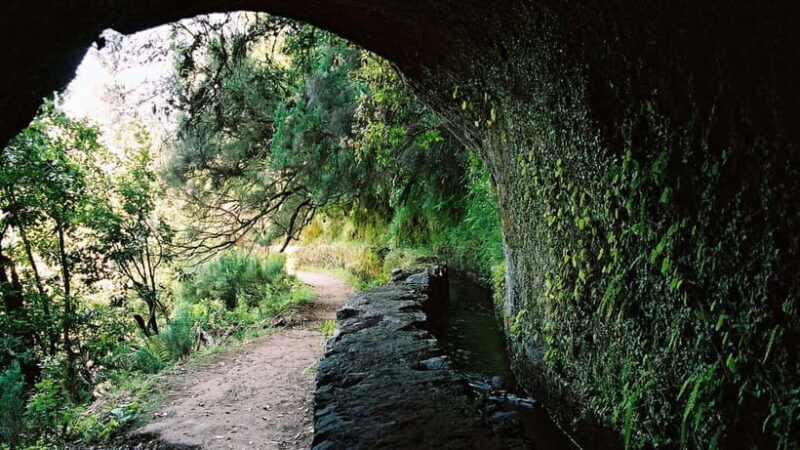 Funchal: Levada Caldeirão Verde Waterfalls and Forests Hike - Practical Tips for the Hike