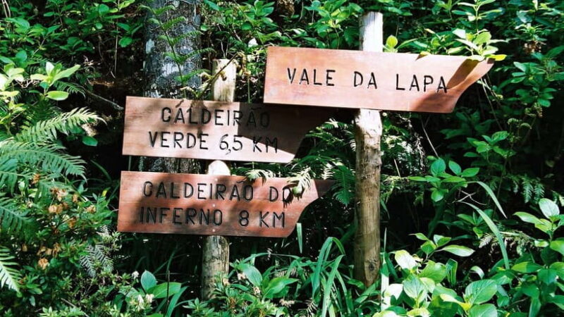 Funchal: Levada Caldeirão Verde Waterfalls and Forests Hike - Additional Details