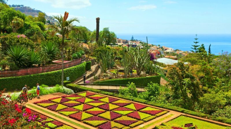 Funchal: Madeira Botanical Garden Private Tuk-Tuk Tour - What to Expect During the Excursion