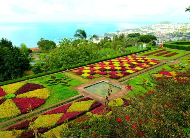 Funchal: Madeira Botanical Garden Private Tuk-Tuk Tour - Comparing Similar Experiences