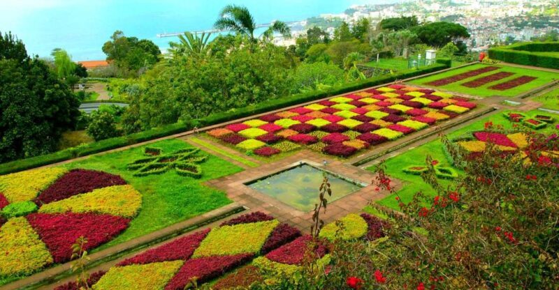 Funchal: Madeira Botanical Garden Private Tuk-Tuk Tour - The Sum Up: Who Is This Tour Best For?