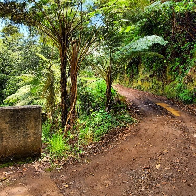 Funchal: Madeira Island 4x4 Private Customizable Tour - An introduction to the Madeira 4x4 experience