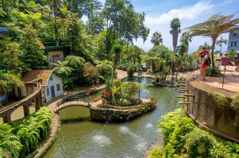 Funchal: Monte Palace Tropical Gardens Tuk Tuk Tour - What Makes This Tour Stand Out