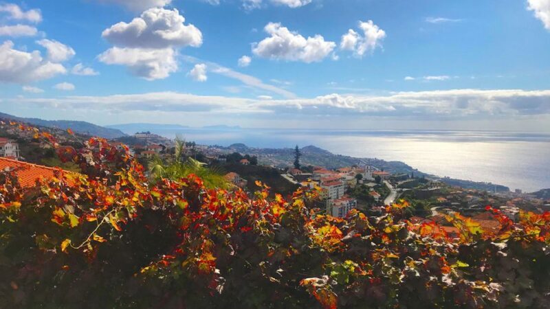 Funchal: Northern Levada Walking Tour - Key Points