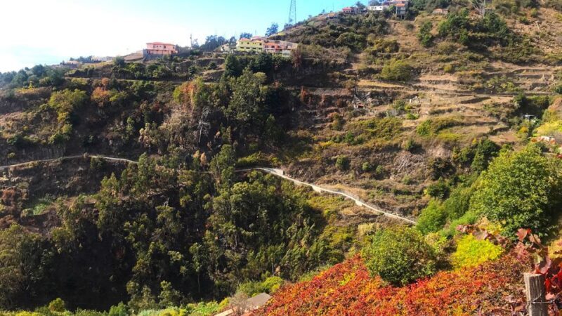 Funchal: Northern Levada Walking Tour - Practicalities and Value