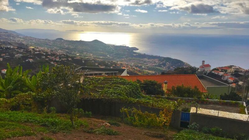 Funchal: Northern Levada Walking Tour - Who Should Consider This Tour