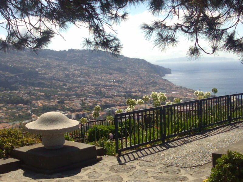 Funchal: Nuns Valley Half Day Tour - Who Will Love This Tour?