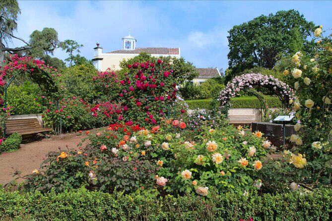 Funchal Old Town & Palheiro Gardens Private Tuk Tuk Tour - A Detailed Breakdown of the Itinerary