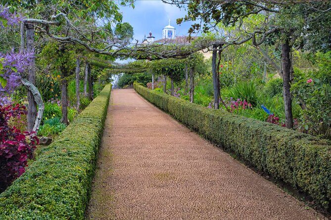 Funchal Old Town & Palheiro Gardens Private Tuk Tuk Tour - What Makes This Tour Stand Out?