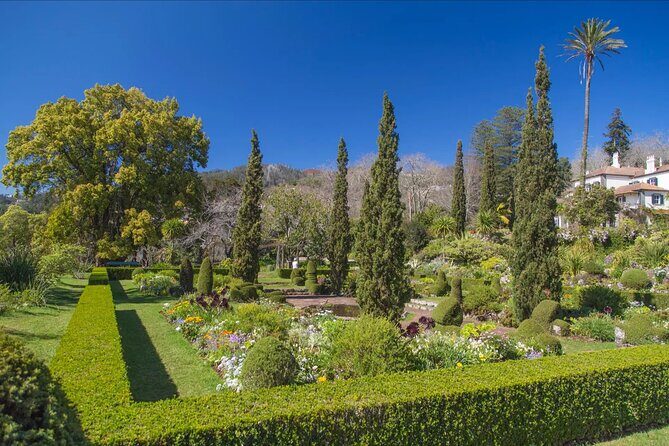 Funchal Old Town & Palheiro Gardens Private Tuk Tuk Tour - Downside Considerations