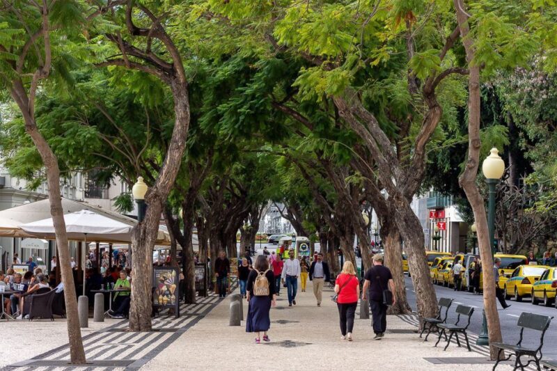 Funchal: Old Town Walking Tour - A Practical Introduction to the Tour