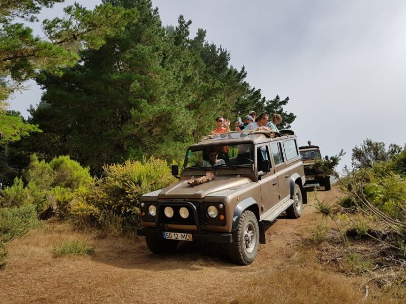 Funchal: Pico Arieiro, Cristo Rei and Dolphins Watching - In-Depth Breakdown of the Itinerary