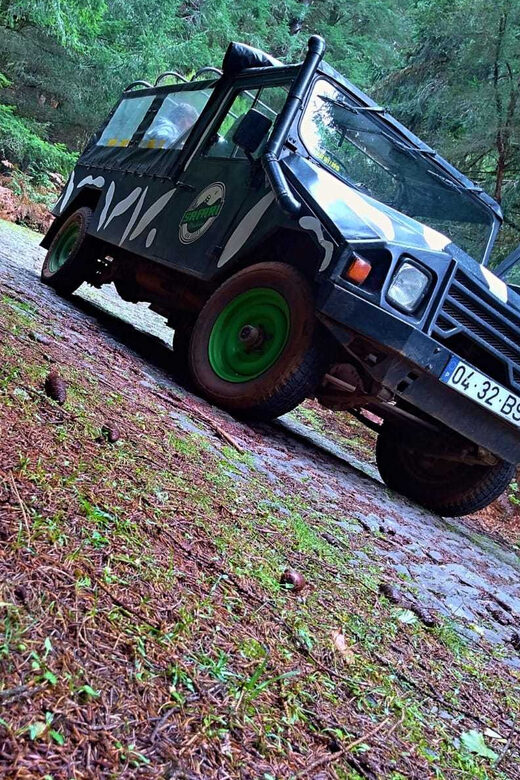Funchal: Pico do Areeiro to Santana 4x4 East Tour - Practical Information