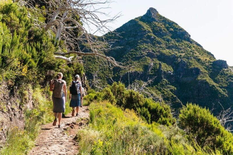 Funchal: Pico do Arieiro Sunrise Transfer Self-guided Hike - Who Will Love This Tour?