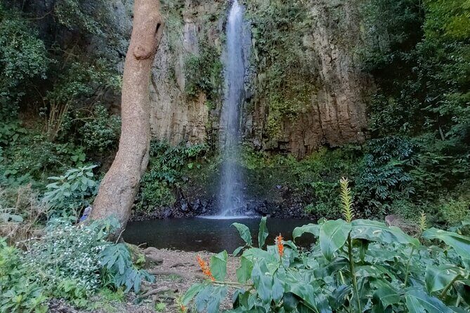 Funchal: Pico do Arieiro to Santana and Ponta de Sao Lorenco - Key Points