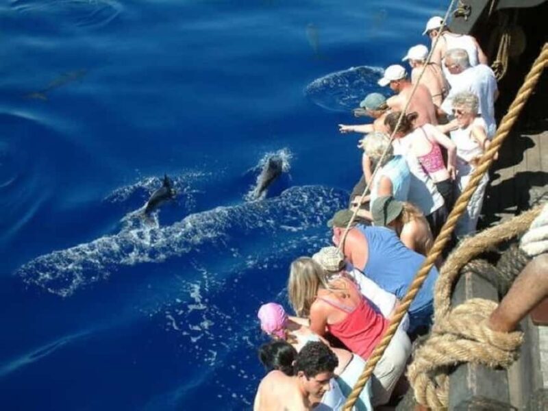 Funchal: Pirate Ship Cruise with Wine and Honey Cake Tasting - Onboard Tastings: Madeira Wine and Honey Cake
