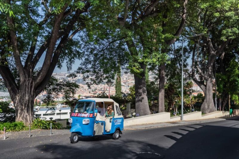 Funchal: Private Customizable Guided Tour by Tuk-Tuk - Key Points