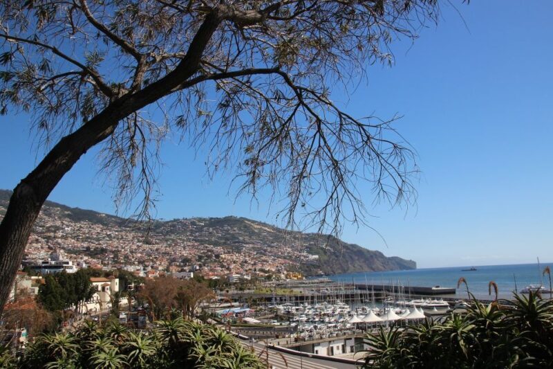Funchal: Private Tour with a Local Guide - Introduction: Why Consider a Private Local Tour in Funchal?