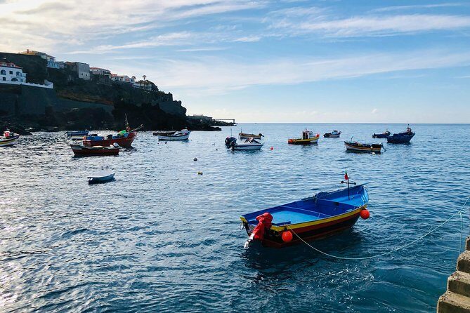 Funchal Private Vehicle Service with Driver for a Half Day or Full Day - Why This Tour Is a Great Choice