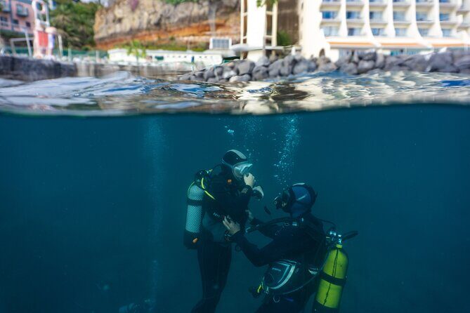 Funchal: Scuba Diving Experience for Beginners - Authentic Experiences from Past Participants