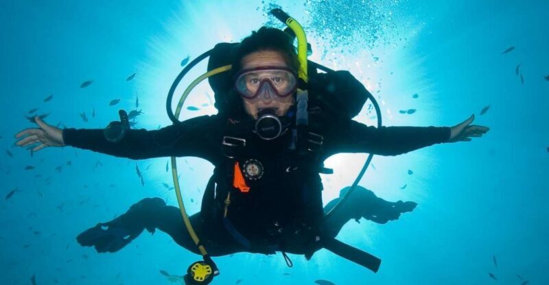 Funchal: Scuba Diving Experience for Beginners - The Setup: What to Expect When You Book