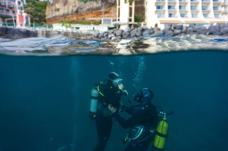 Funchal: Scuba Diving Experience for Beginners - Why the Price Offers Good Value
