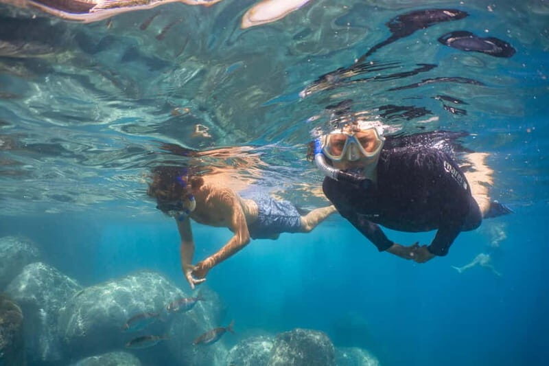 Funchal: Snorkeling Adventure in Eco-Park / Shore or by Boat - Different Ways to Explore: Shore vs. Boat