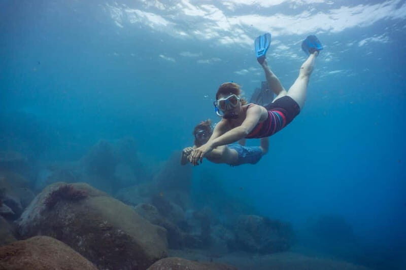 Funchal: Snorkeling Adventure in Eco-Park / Shore or by Boat - FAQ