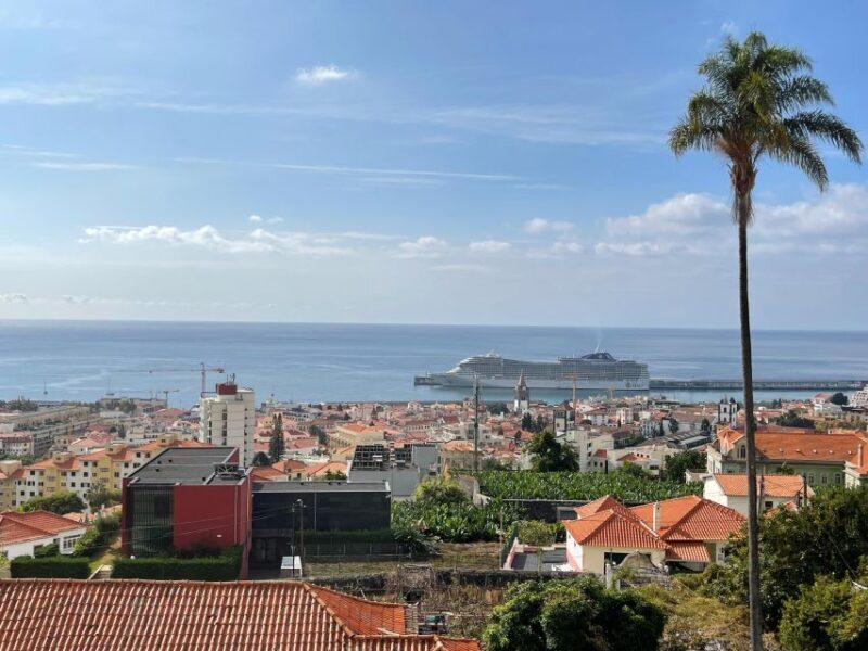 Funchal : Special views/seaside view points - What You Can Expect from the Tour