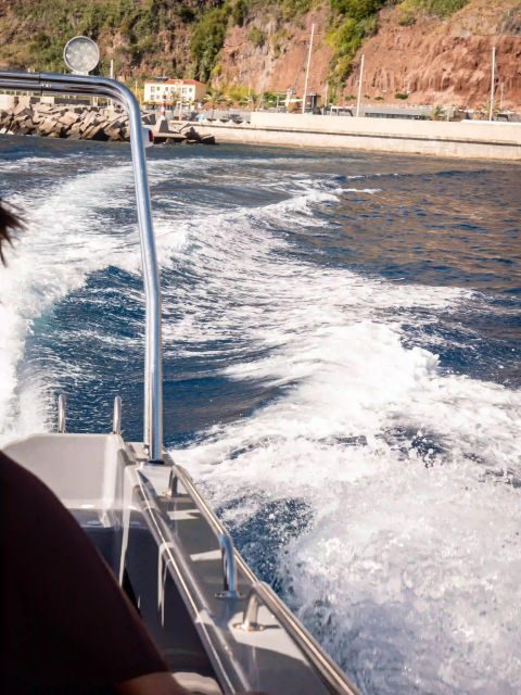 Funchal: Speedboat SEE THE ISLAND AND LIFE AT SEA - Final Thoughts