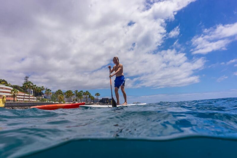 Funchal: SUP Rental or Guided tour with snorkeling - Funchal: SUP Rental or Guided Tour with Snorkeling — An Authentic Madeira Water Experience
