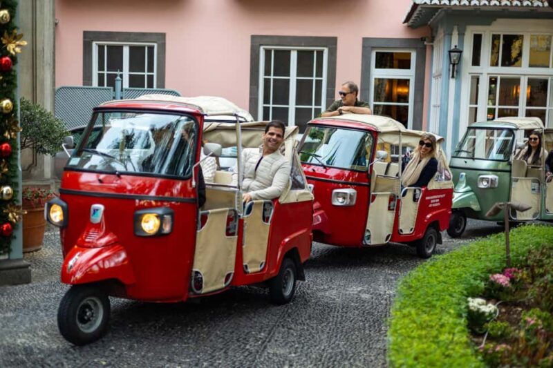 Funchal: Tuk Tuk Tour to the Most Breathtaking Viewpoints - Practical Details and Value
