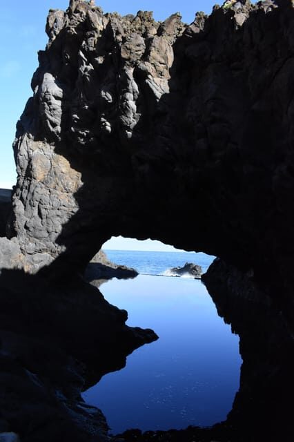 Funchal: Waterfalls, Volcanic Pools, and Fanal Forest Tour - The Value Proposition