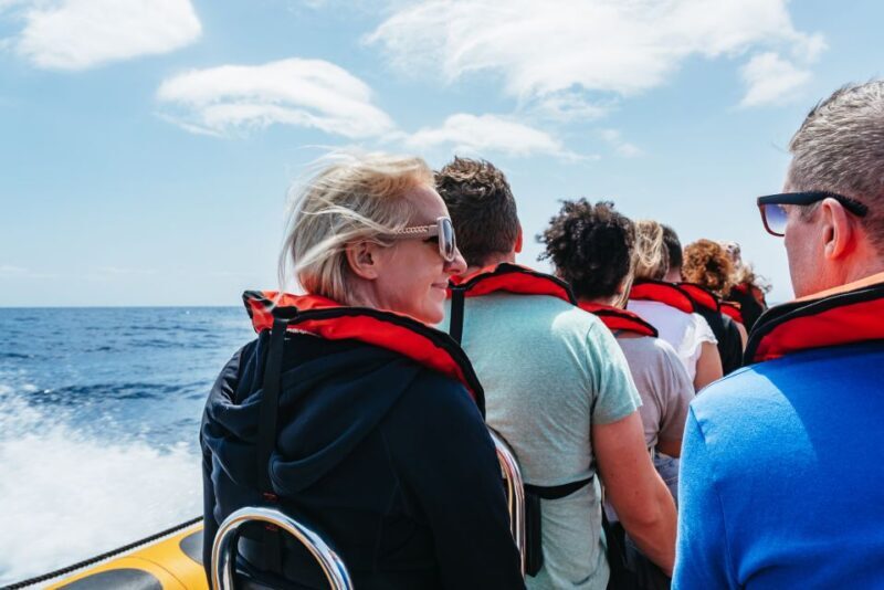 Funchal: Whale and Dolphin Watching Speed Boat Tour - Practical Tips for a Great Trip