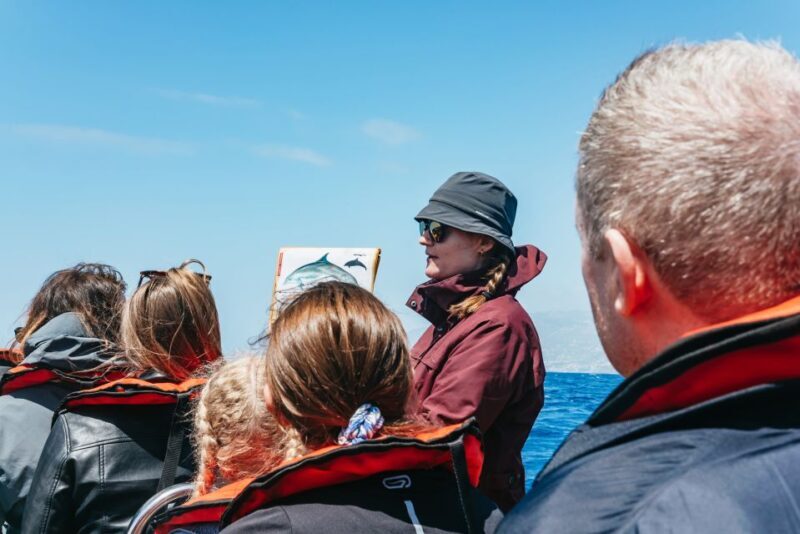 Funchal: Whale and Dolphin Watching Speed Boat Tour - Authenticity and the Overall Experience