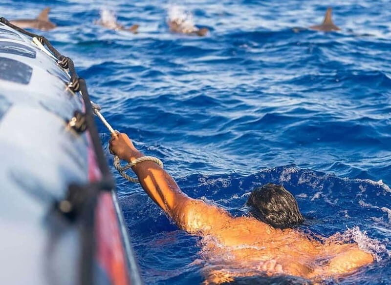 Funchal: Whale Watching and Swimming with Dolphins Cruise - Funchal: Whale Watching and Swimming with Dolphins Cruise