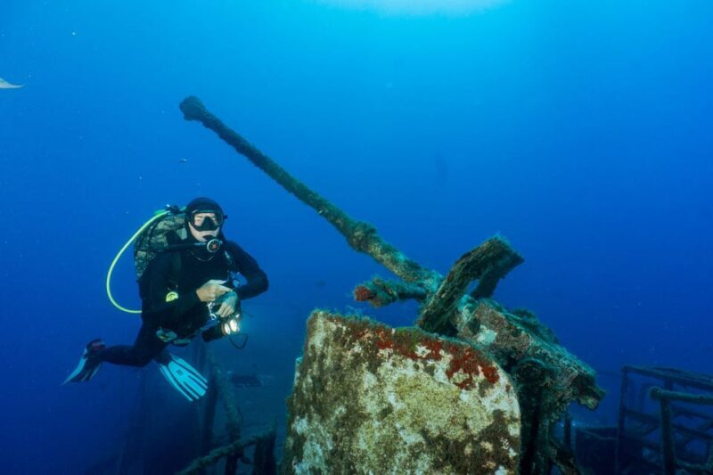Funchal: Wreck dive F488 Frigate - certified divers - Final Thoughts: Why This Wreck Dive is a Must-Do
