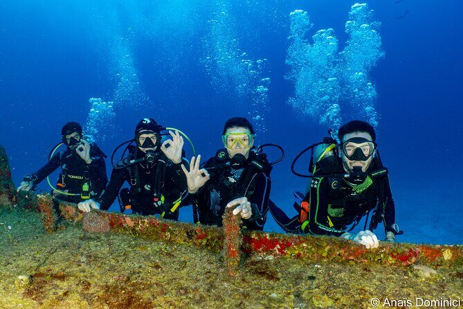FunDiving in Cozumel - By Ferry - 2 Tanks in the wonderful Caribbean sea - Discovering Cozumel’s Marine Wonderland