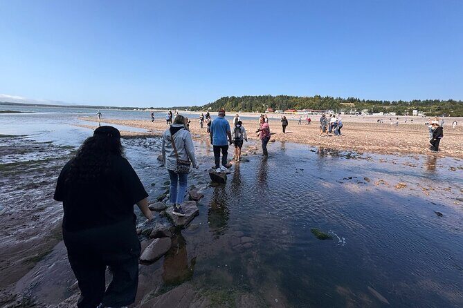 Fundy Shore Tour By Bus - FAQ