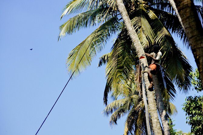 Funny and helpful Tuk Tuk Tour in Kochin - Reviews and Real-World Feedback