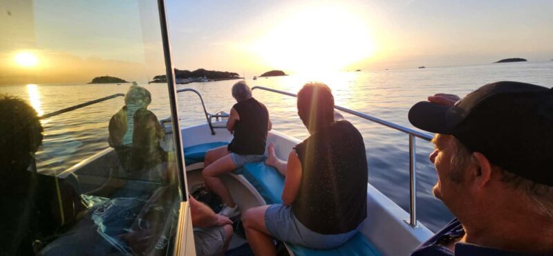 Funtana: Dolphin safari, drinks included - Final Thoughts: Is the Dolphin Safari Worth It?