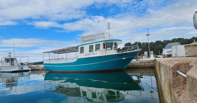 Funtana: Dolphin safari, drinks included - Who Should Choose This Tour