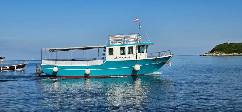 Funtana,Vrsar: Dolphin safari, drinks included - Setting Off from Funtana’s Marina