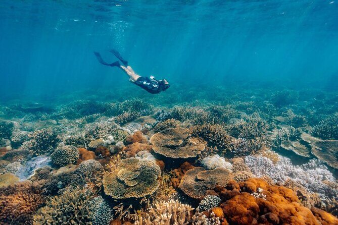 Funtastic Kraken Keppel Island Day Trip and Snorkelling Adventure - Price, Value, and Practical Considerations