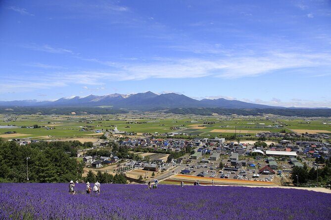 Furano, Biei & Blue Pond Full-day Private Tour (Up to 9~21 pax) - An In-Depth Look at the Tour Experience